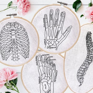 23 Anatomy Embroidery Patterns, Embroidery Pattern Bundle, Medical ...