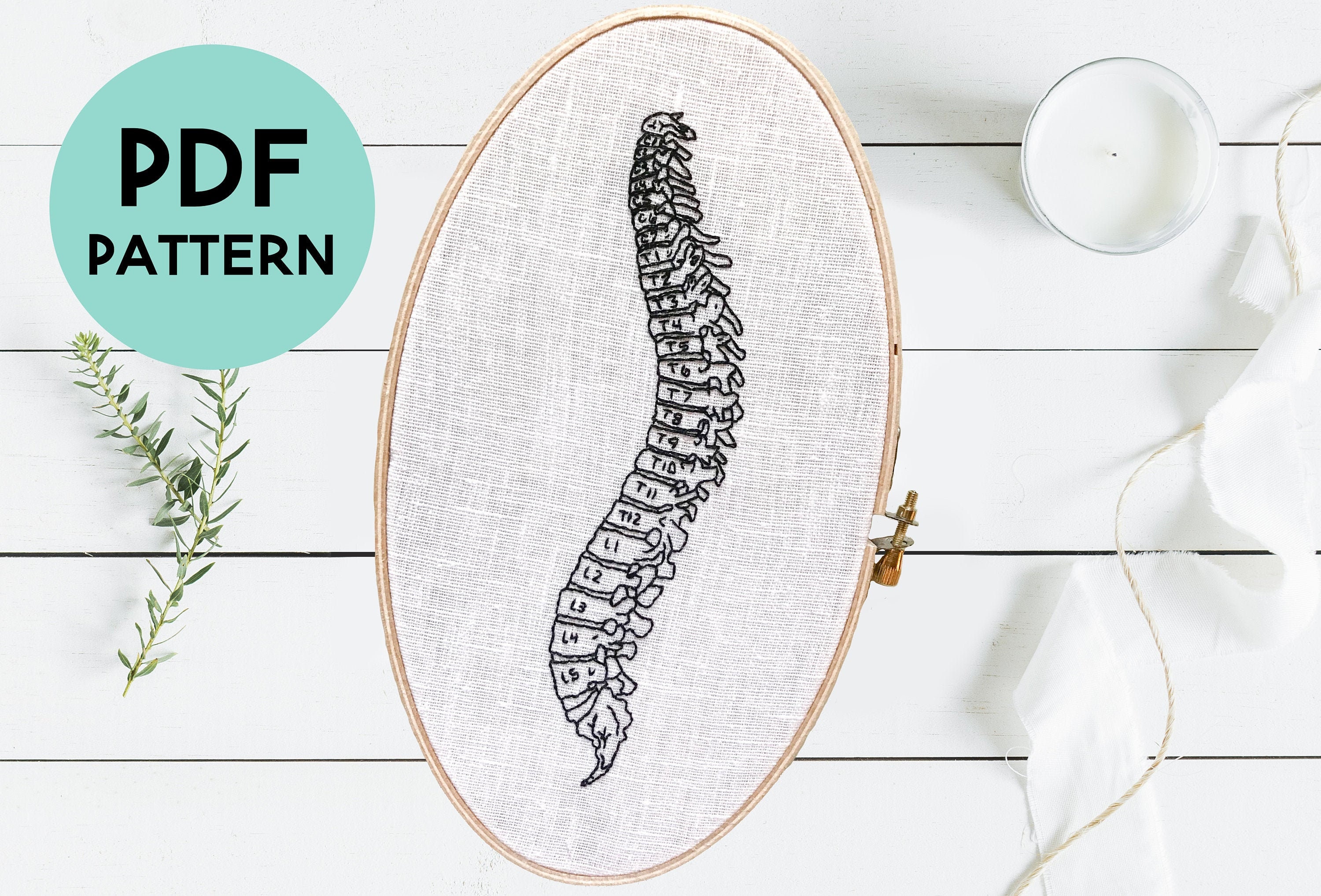 Spine Anatomy Embroidery Pattern, Medical Embroidery Pattern ...