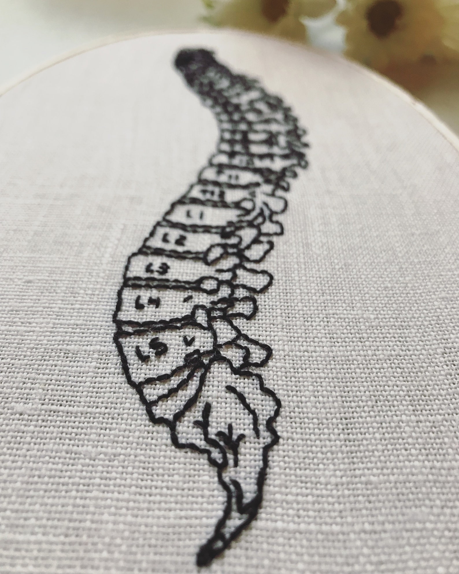 Spine Anatomy Embroidery Pattern, Medical Embroidery Pattern ...