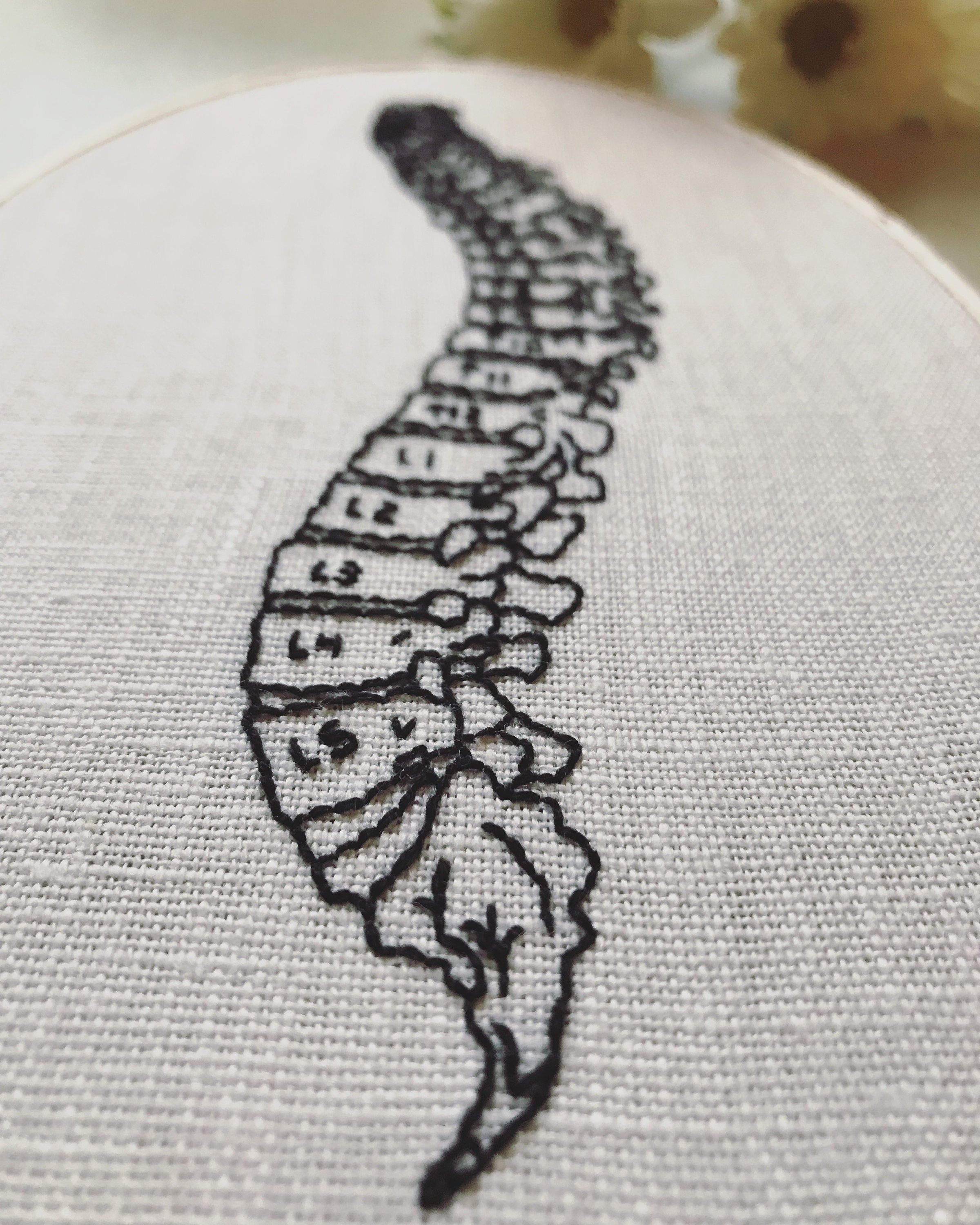 Spine Anatomy Embroidery Pattern, Medical Embroidery Pattern ...