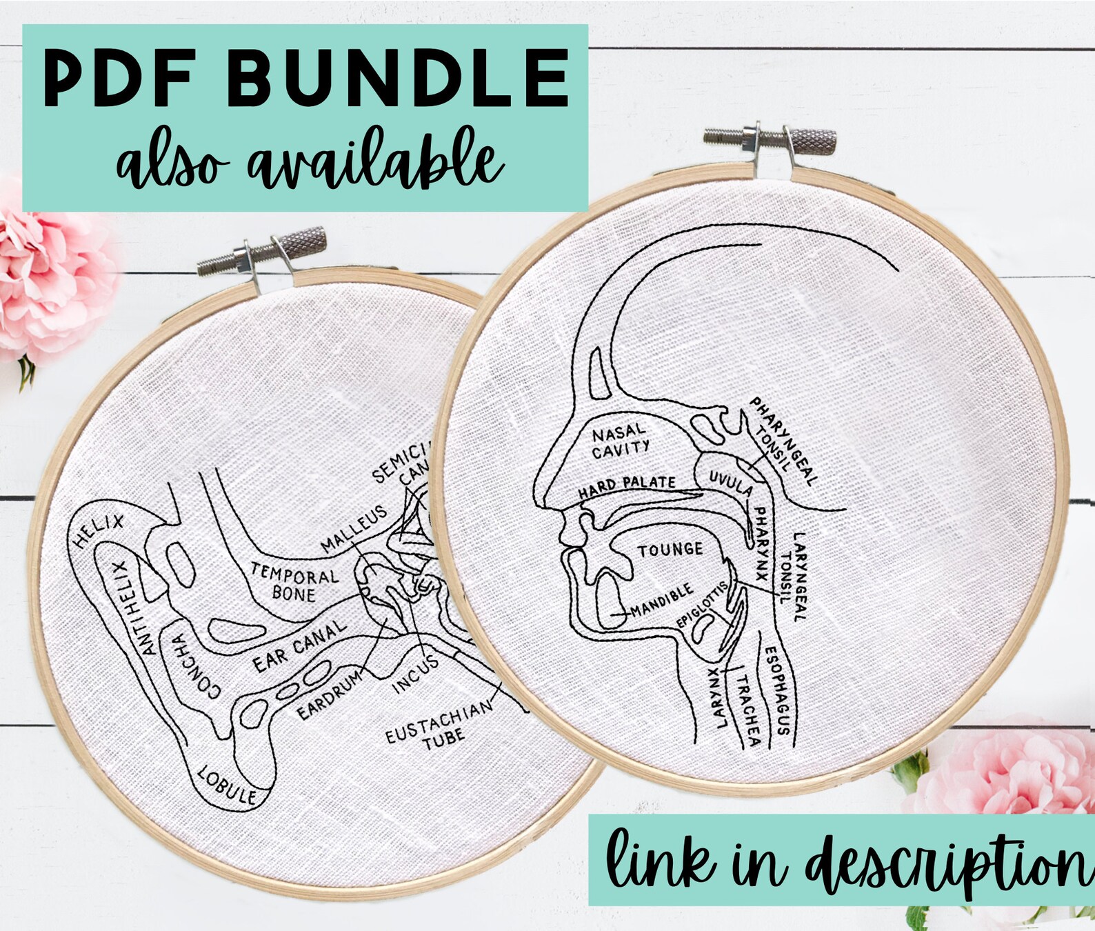 DIY Ear Anatomy Embroidery Pattern Inner Ear Anatomy Art - Etsy