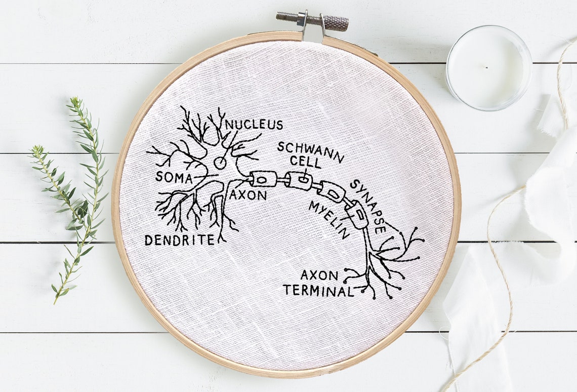 Neuron Embroidery Pattern, Neuron Anatomy, Medical Embroidery, Nurse ...