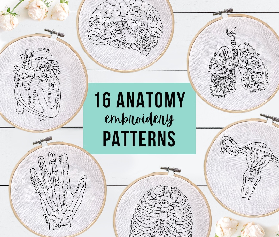 Anatomy Bundle, Embroidery PDF Patterns, Anatomy Patterns Bundle ...