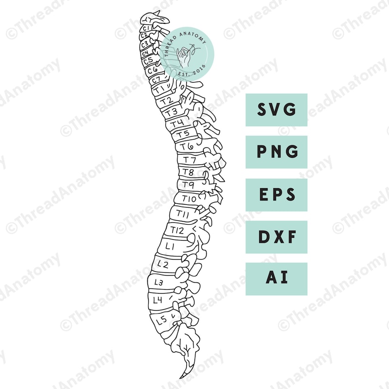 Spine Svg - Etsy