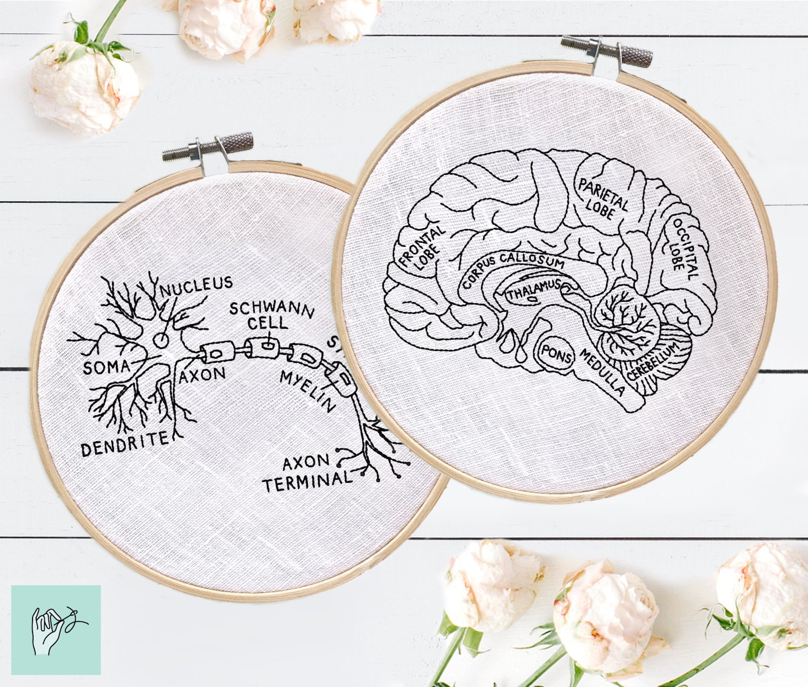 Neurology Embroidery Bundle, DIY Brain & Neuron Anatomy Embroidery ...