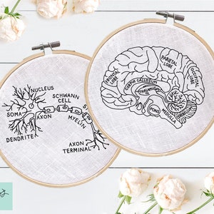 Neurology Embroidery Bundle, DIY Brain & Neuron Anatomy Embroidery ...