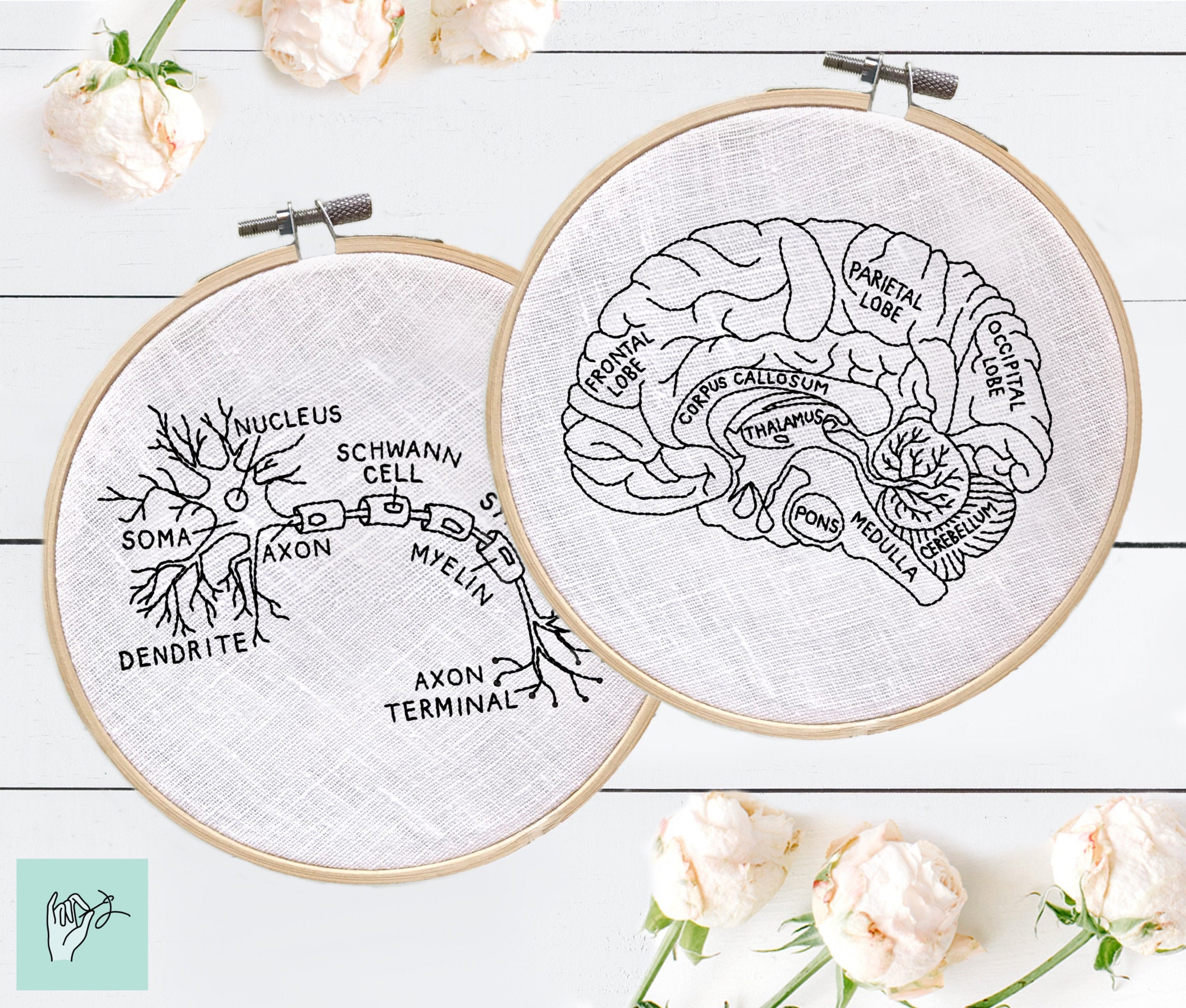 Neurology Embroidery Bundle, DIY Brain & Neuron Anatomy Embroidery ...