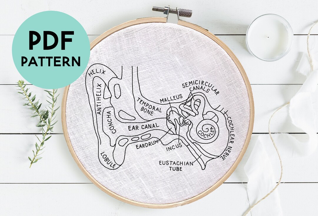 DIY Ear Anatomy Embroidery Pattern, Inner Ear Anatomy Art, Audiologist ...