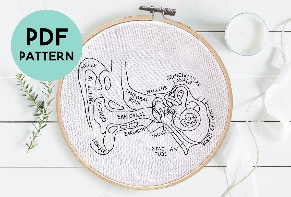 DIY Ear Anatomy Embroidery Pattern Inner Ear Anatomy Art | Etsy