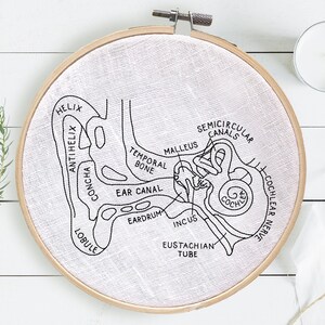 DIY Ear Anatomy Embroidery Pattern, Inner Ear Anatomy Art, Audiologist ...