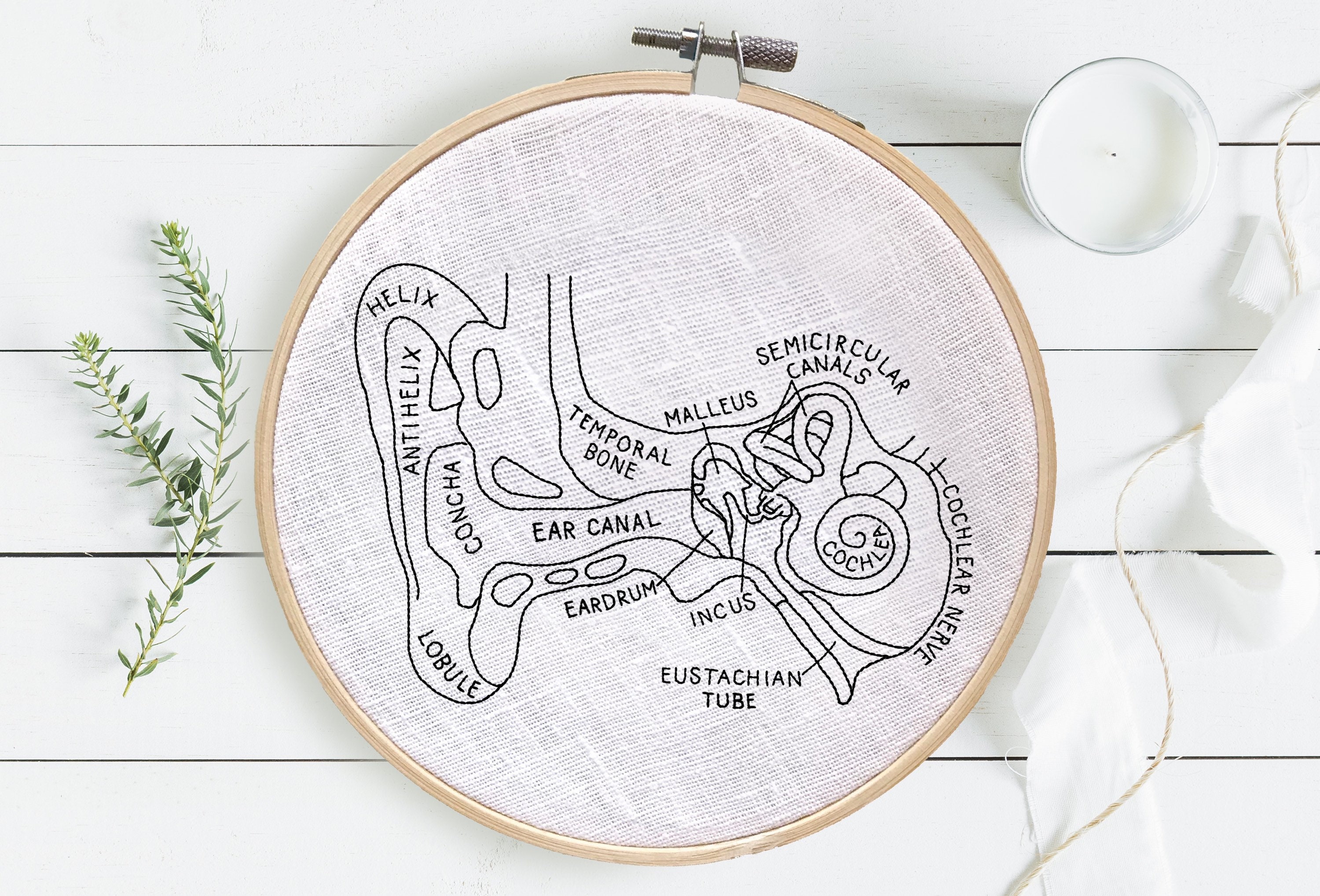 DIY Ear Anatomy Embroidery Pattern Inner Ear Anatomy Art | Etsy