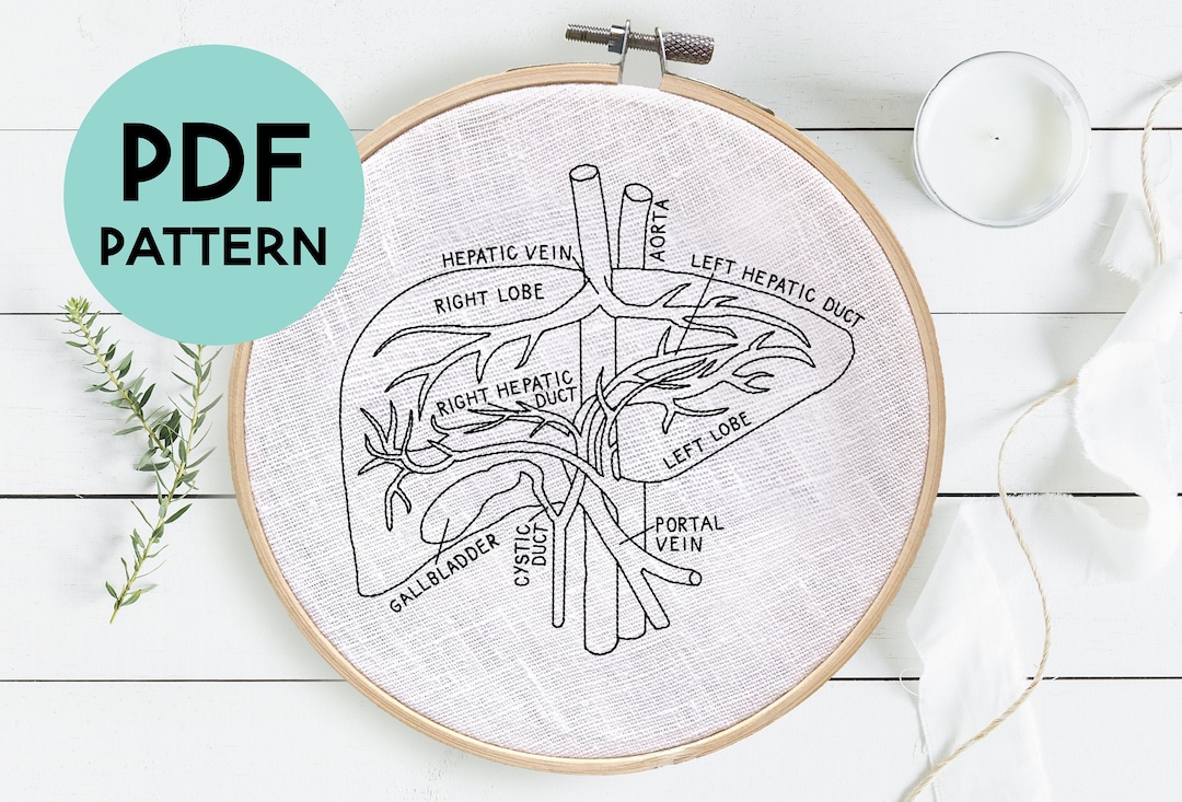 Liver Anatomy Embroidery Pattern, Medical Embroidery, Hepatologist ...