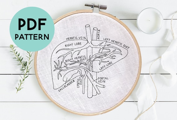 Liver Anatomy Embroidery Pattern Medical Embroidery | Etsy