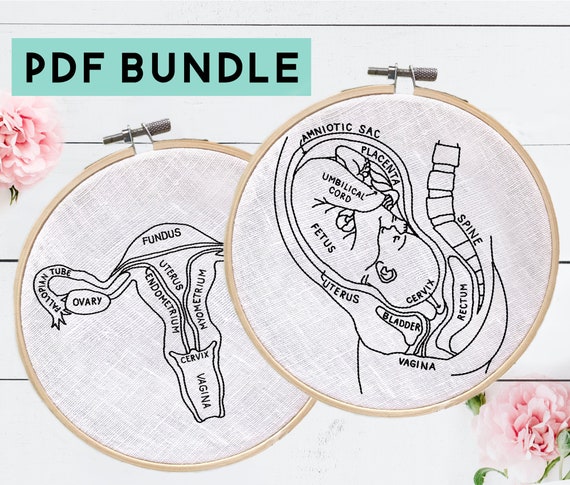 DIY Pregnancy & Uterus Anatomy Embroidery Bundle DIY Midwife | Etsy