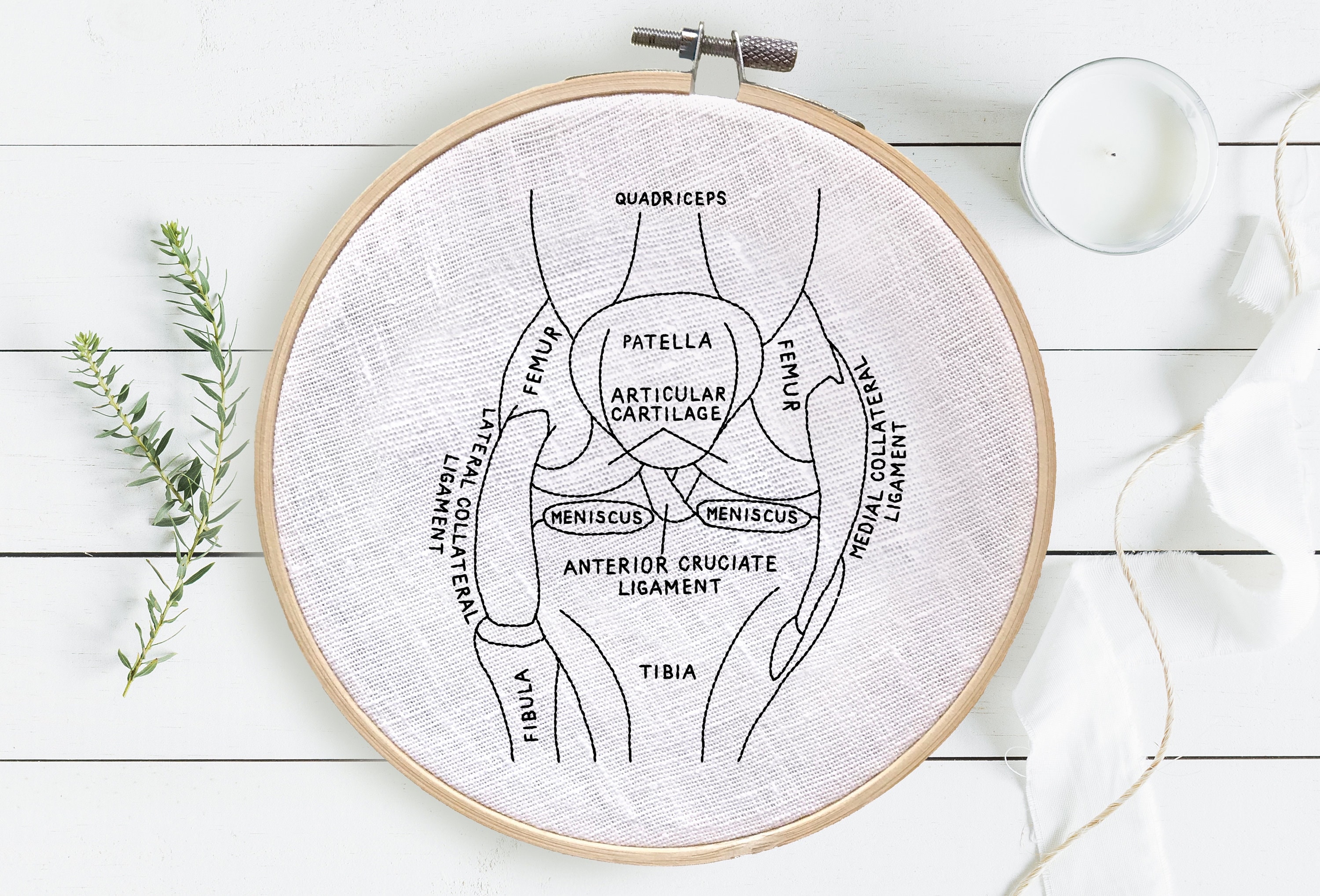 Knee Anatomy Embroidery, Knee Embroidery, Orthopedic Doctor Gift ...
