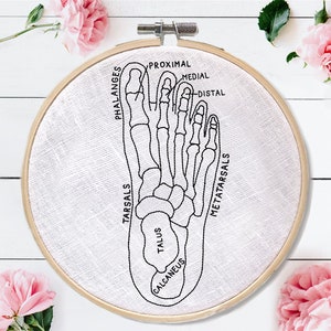 Anatomy Embroidery Pattern Bundle, Ribs Hand Foot Spine, Physical ...