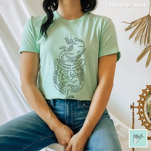 GI Tract Shirt, Digestive Tract Tshirt, Anatomy T-shirt, GI Tract ...