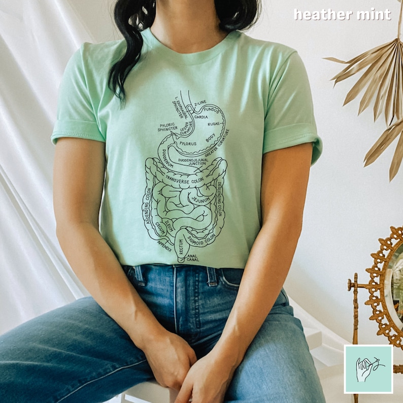 GI Tract Shirt, Digestive Tract Tshirt, Anatomy T-shirt, GI Tract ...