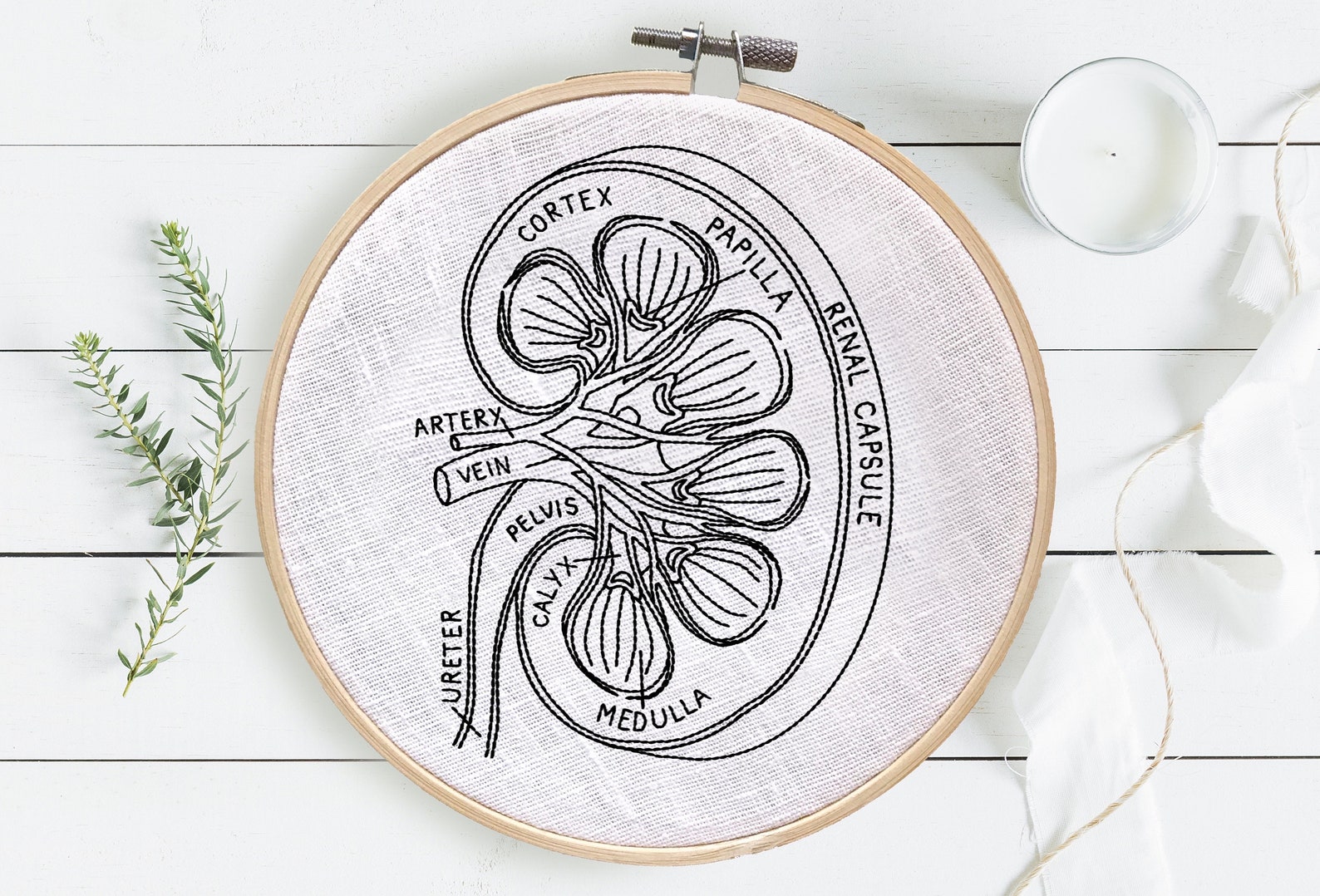 DIY Kidney Embroidery Pattern, Kidney Anatomy Art, Medical Embroidery ...