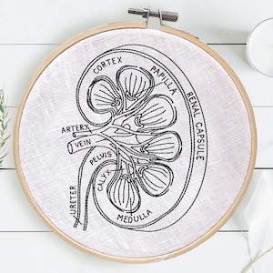 DIY Kidney Embroidery Pattern, Kidney Anatomy Art, Medical Embroidery ...