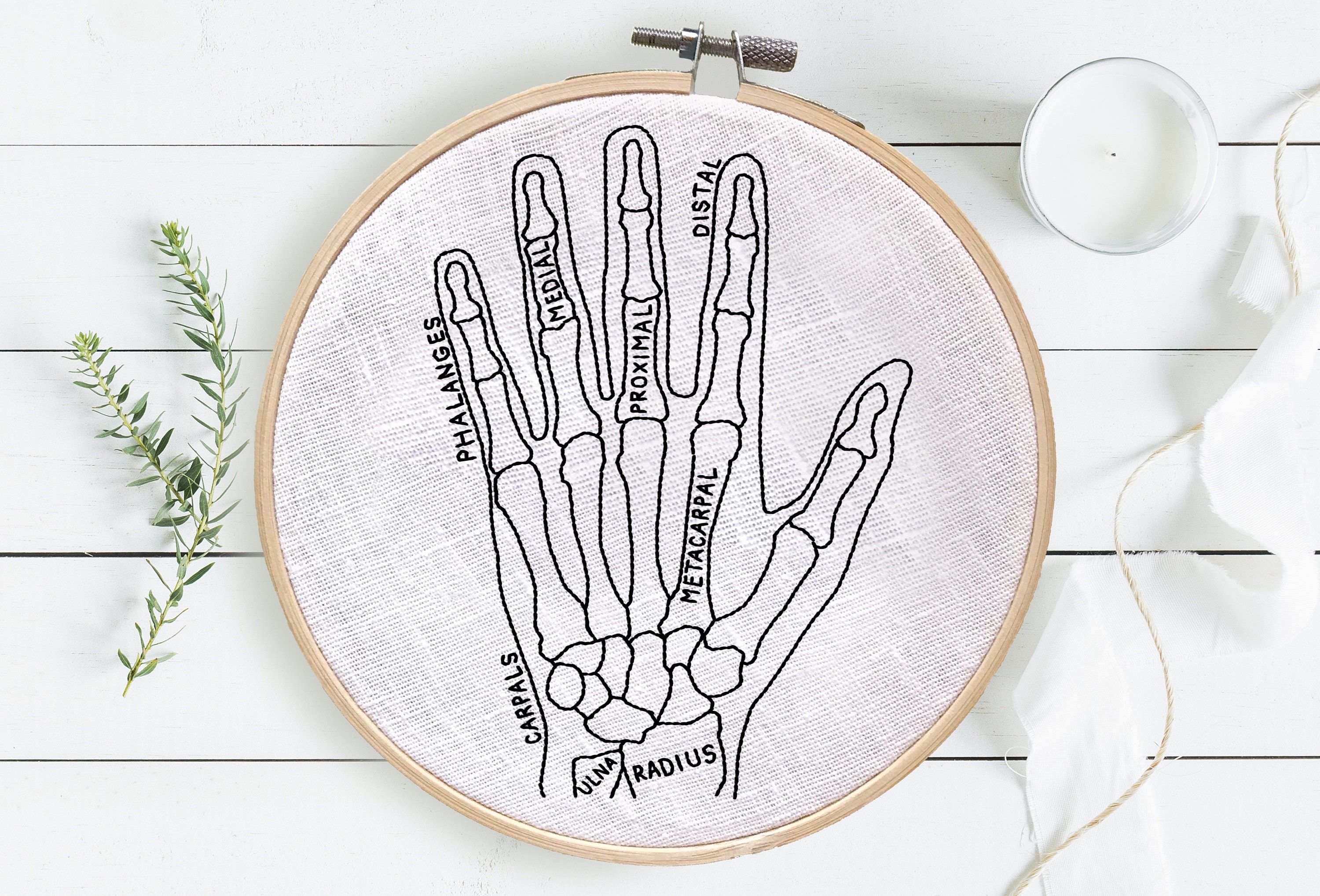 DIY Hand Anatomy Embroidery Pattern, Handmade Embroidery, Occupational ...