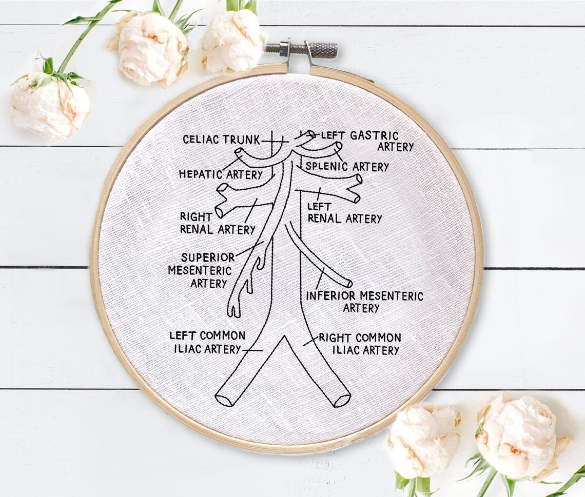 Abdominal Aorta Embroidery Pattern Aorta Anatomy Embroidery | Etsy