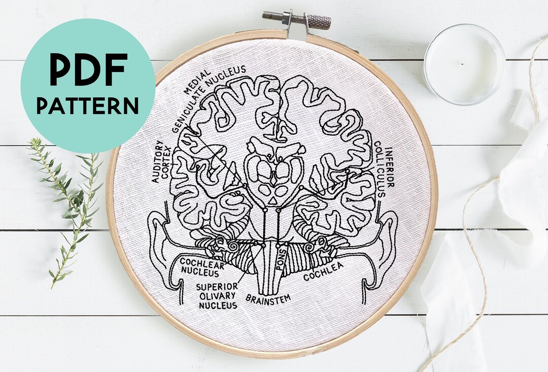 DIY Audiology Embroidery Pattern, Central Auditory System Anatomy ...