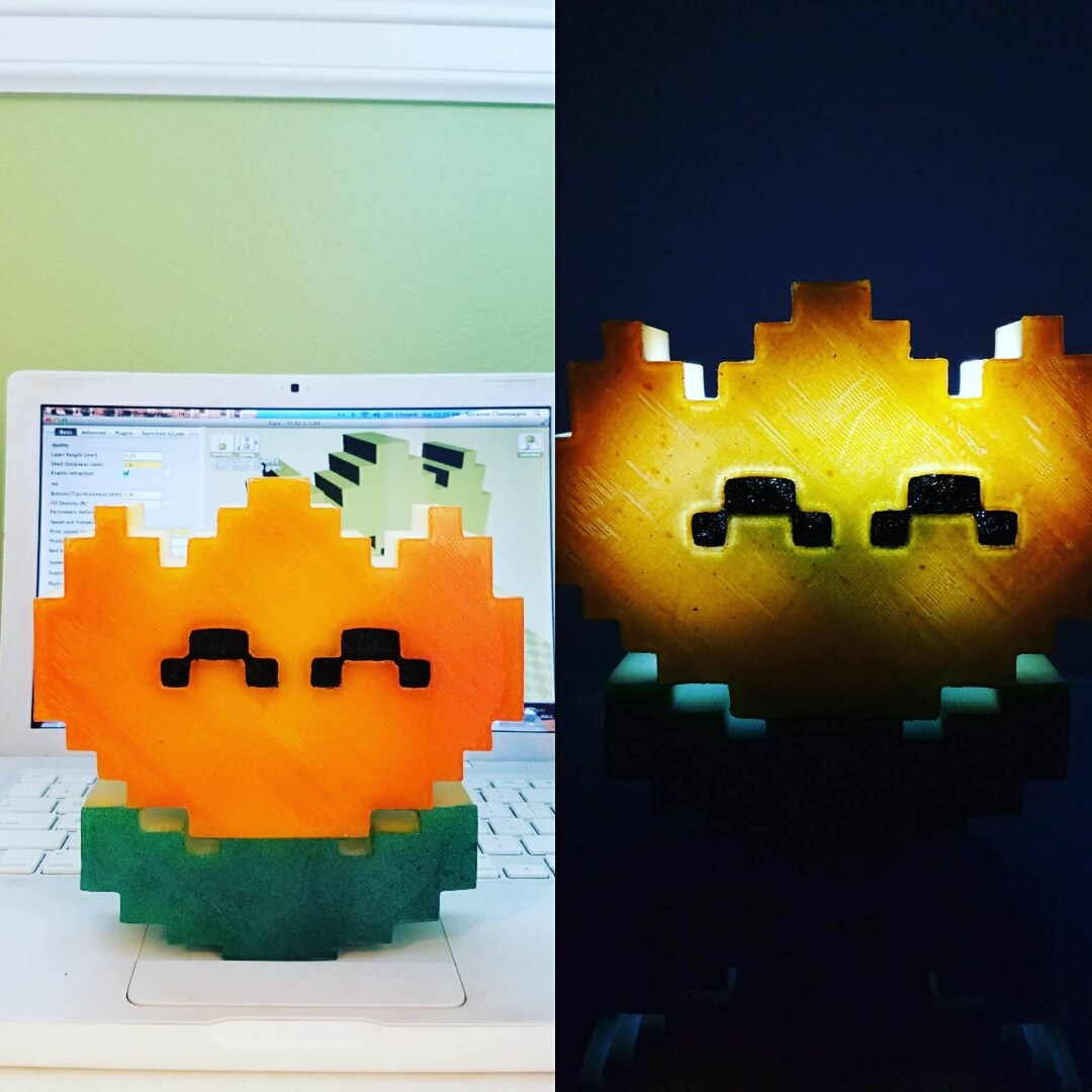 Super Mario Fire Flower Night Light - Etsy