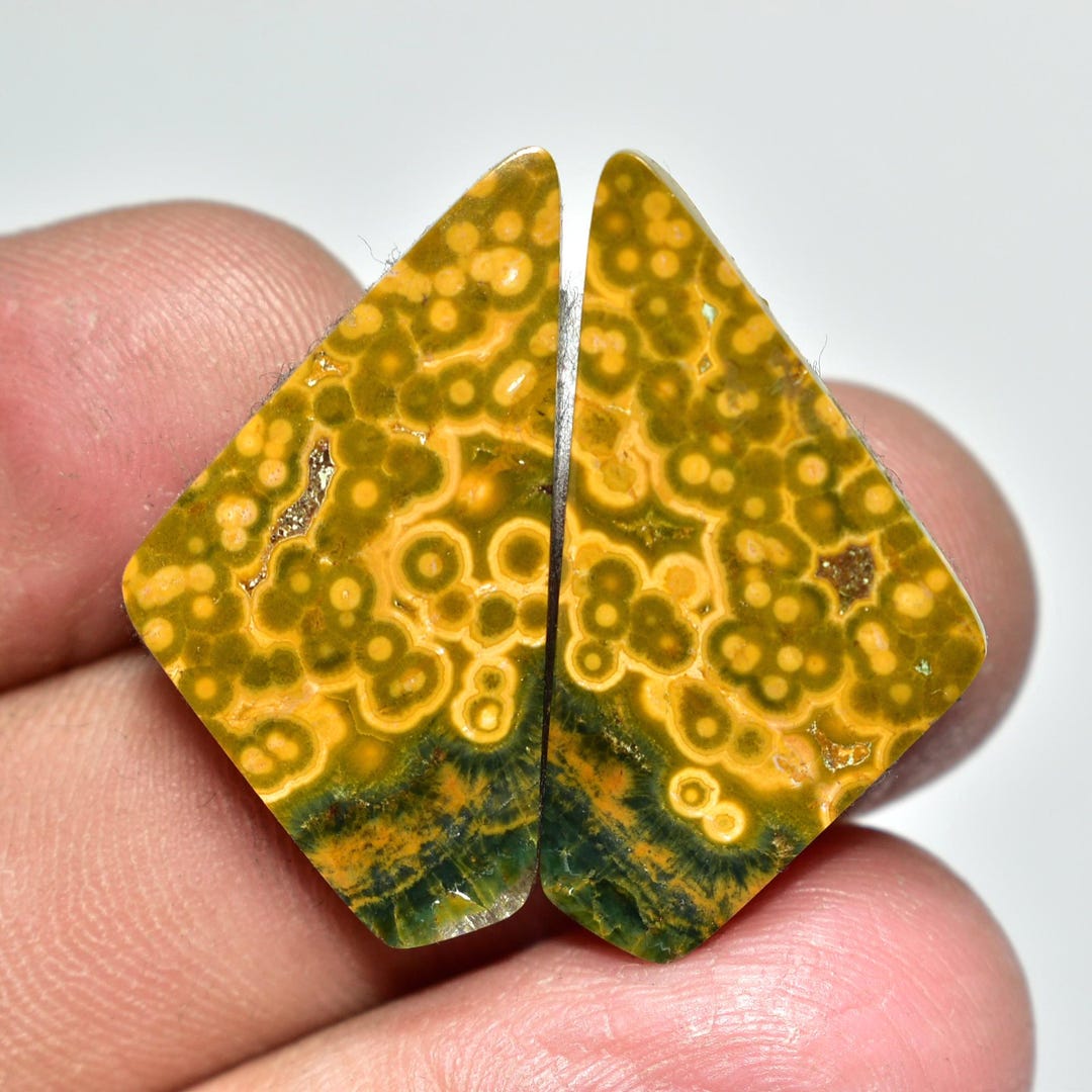 Ocean Jasper Cabochon Pair... Freeform Cabochon... 28x15x5 Mm... 28 Cts ...