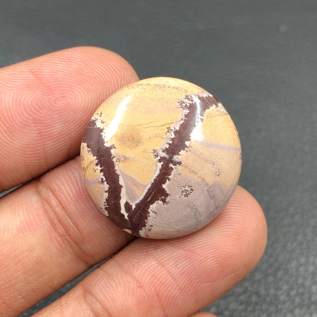 Sonora Dendritic Rhyolite Cabochon... Round Cabochon...23x6 Mm...22 Cts ...