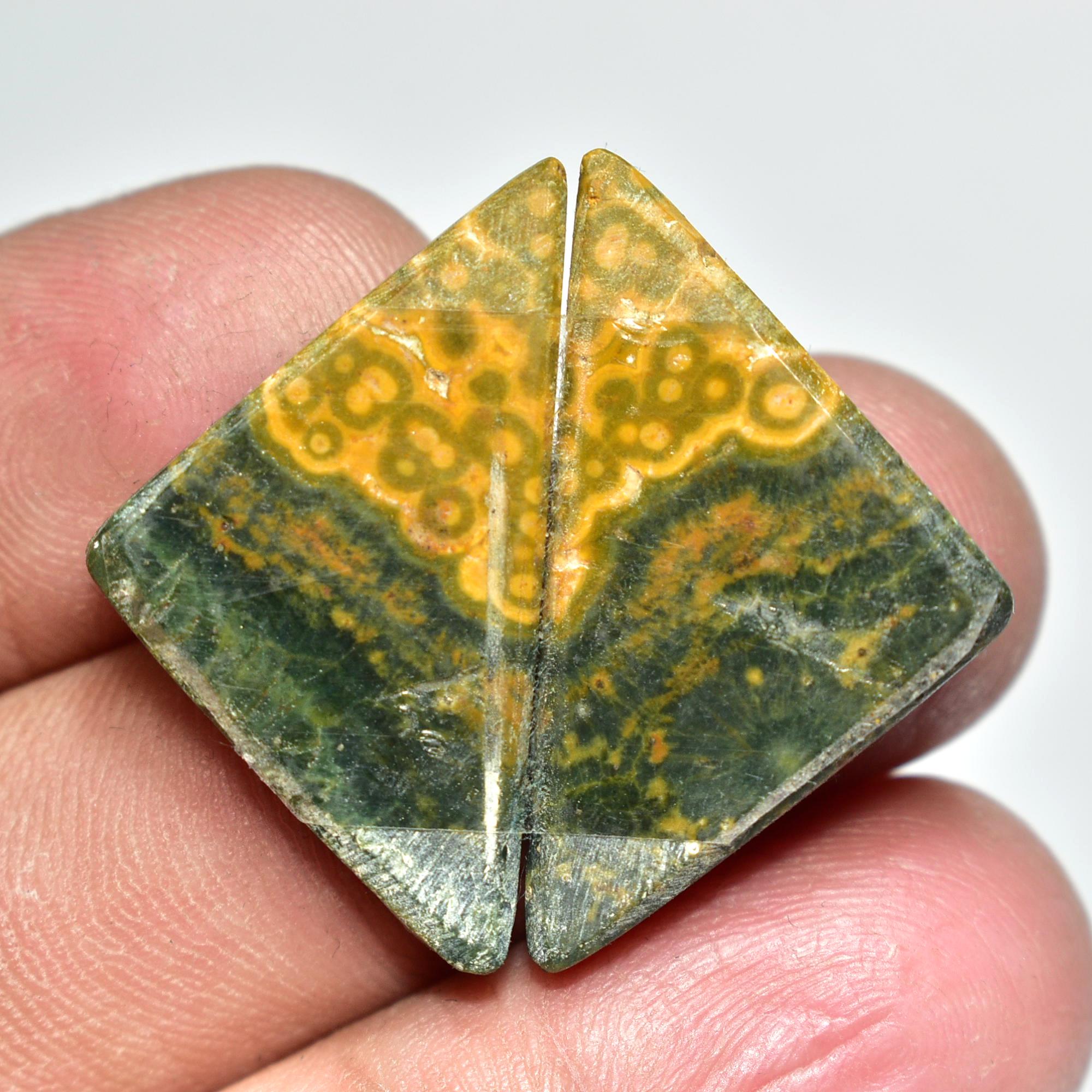 Ocean Jasper Cabochon Pair... Freeform Cabochon... 30x17x5 Mm... 30 Cts ...