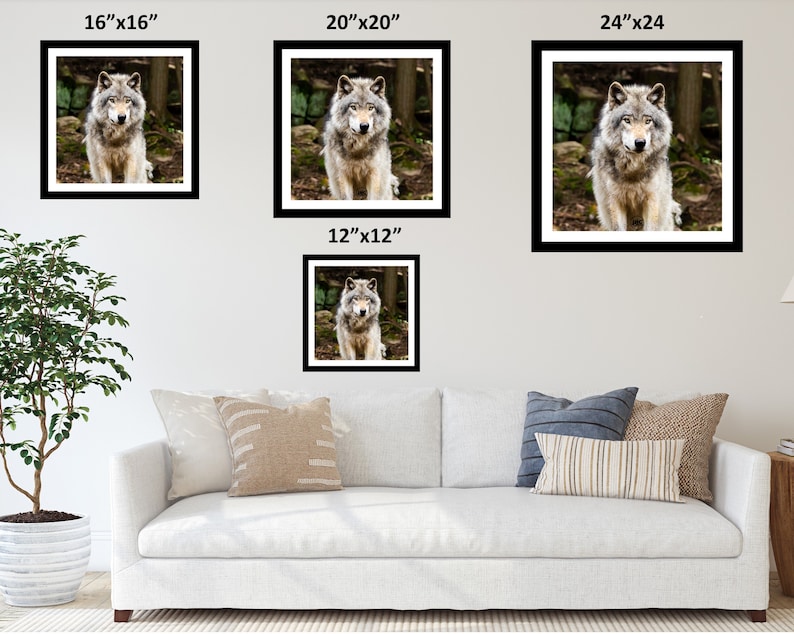 Timber Wolf Print - Wolf Wall Art - Gift for Wolf Lover - Wolf Photo ...