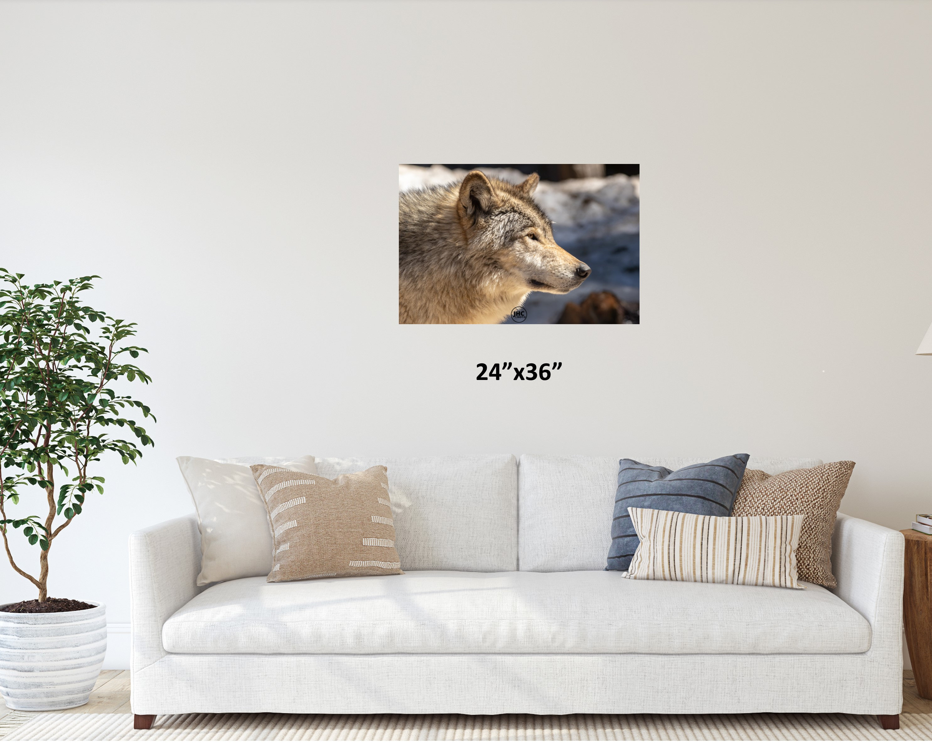 Grey Wolf Wall Art Canvas, Wolf Photography, Wolf Gift, Grey Wolf, Wolf ...