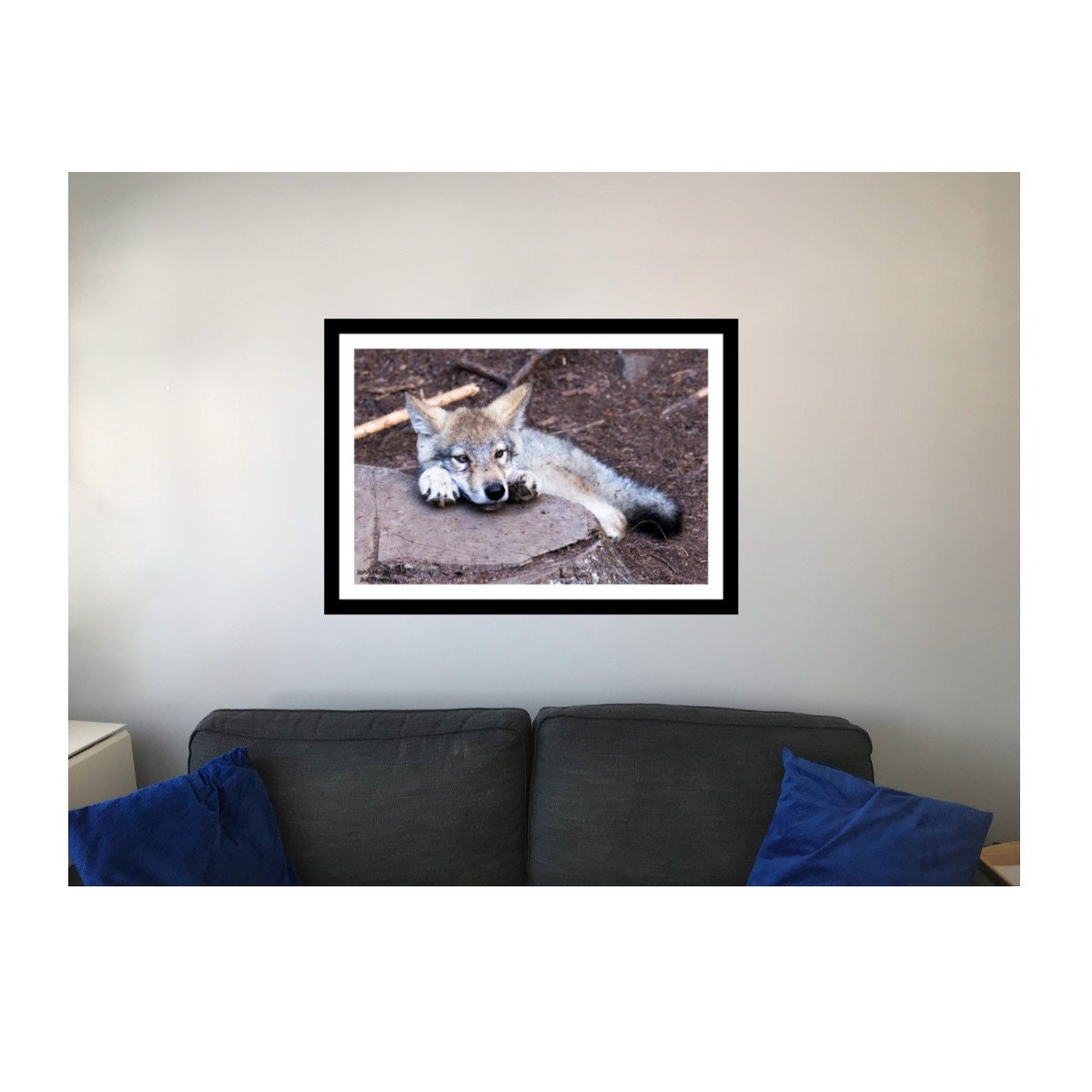 Wolf Print, Wolf Art, Wolf Pup Print, Wolf Photography, Baby Wolf, Wolf ...