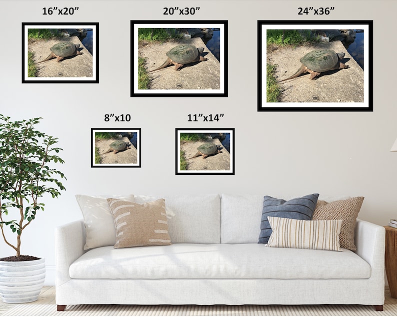 Turtle Wall Art Print, Snapping Turtle, Turtle Gifts, Turtle Print ...