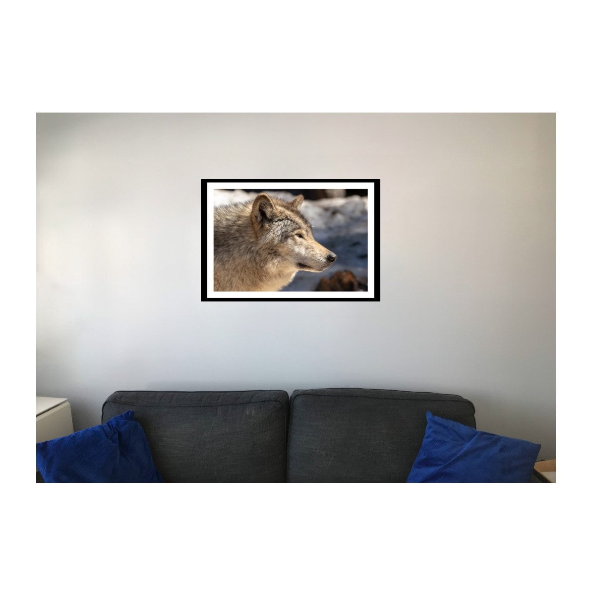 Grey Wolf Wall Art Print, Wolf Photo Print, Wolf Love, Nature ...