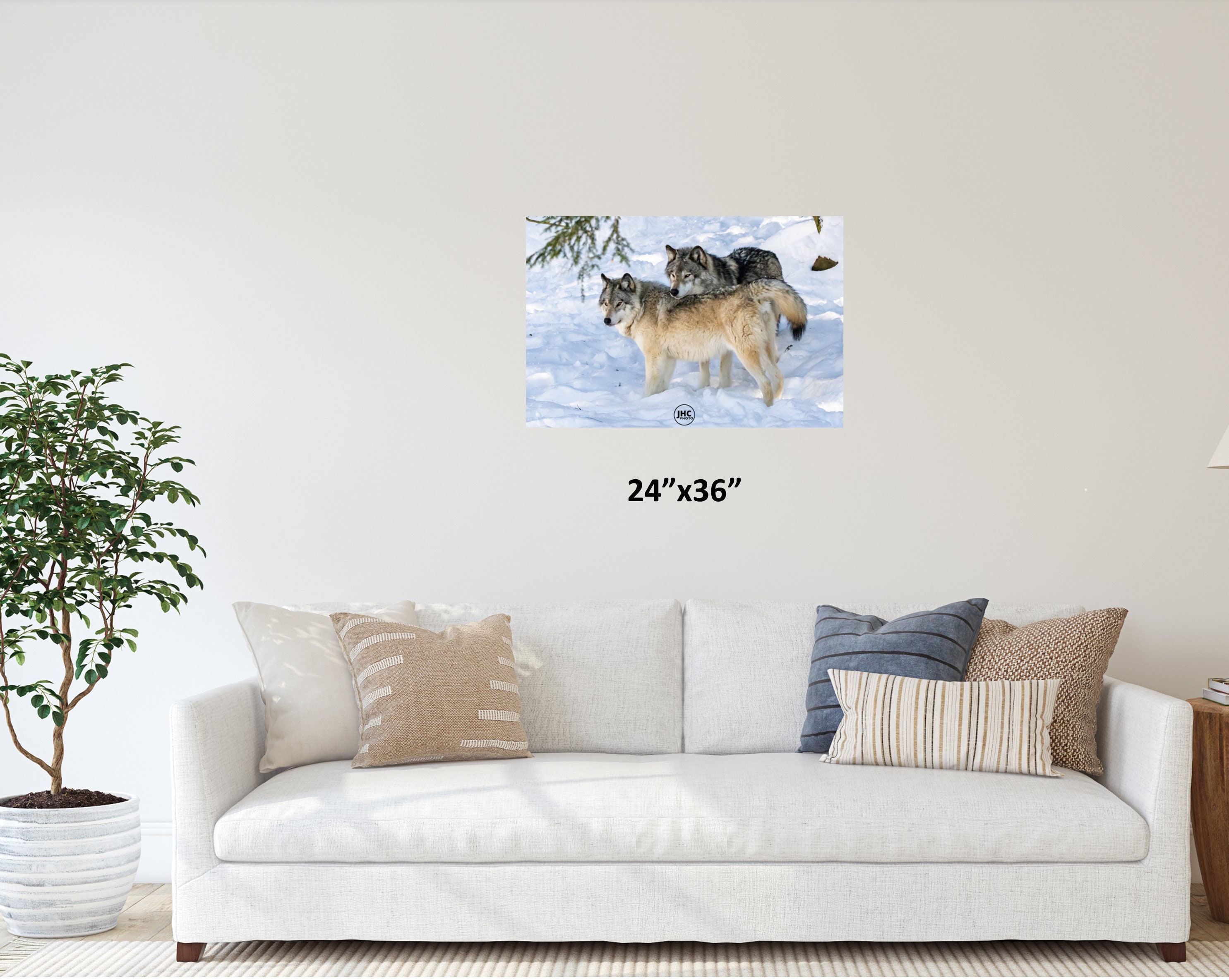 Grey Wolf Wall Art Canvas, Wolf Wall Decor, Wolves, Wolf Photo, Wolf ...