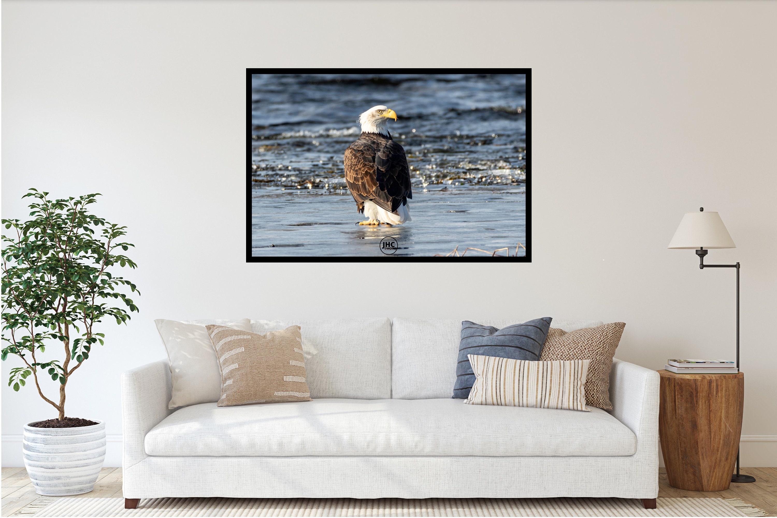 Eagle Print Eagle Art Bald Eagle Eagle Photography Eagle - Etsy