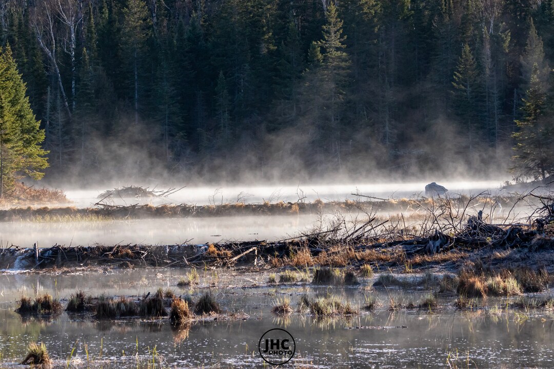 Misty Landscape Wall Art, Misty Forest, Misty Morning, Beaver House ...