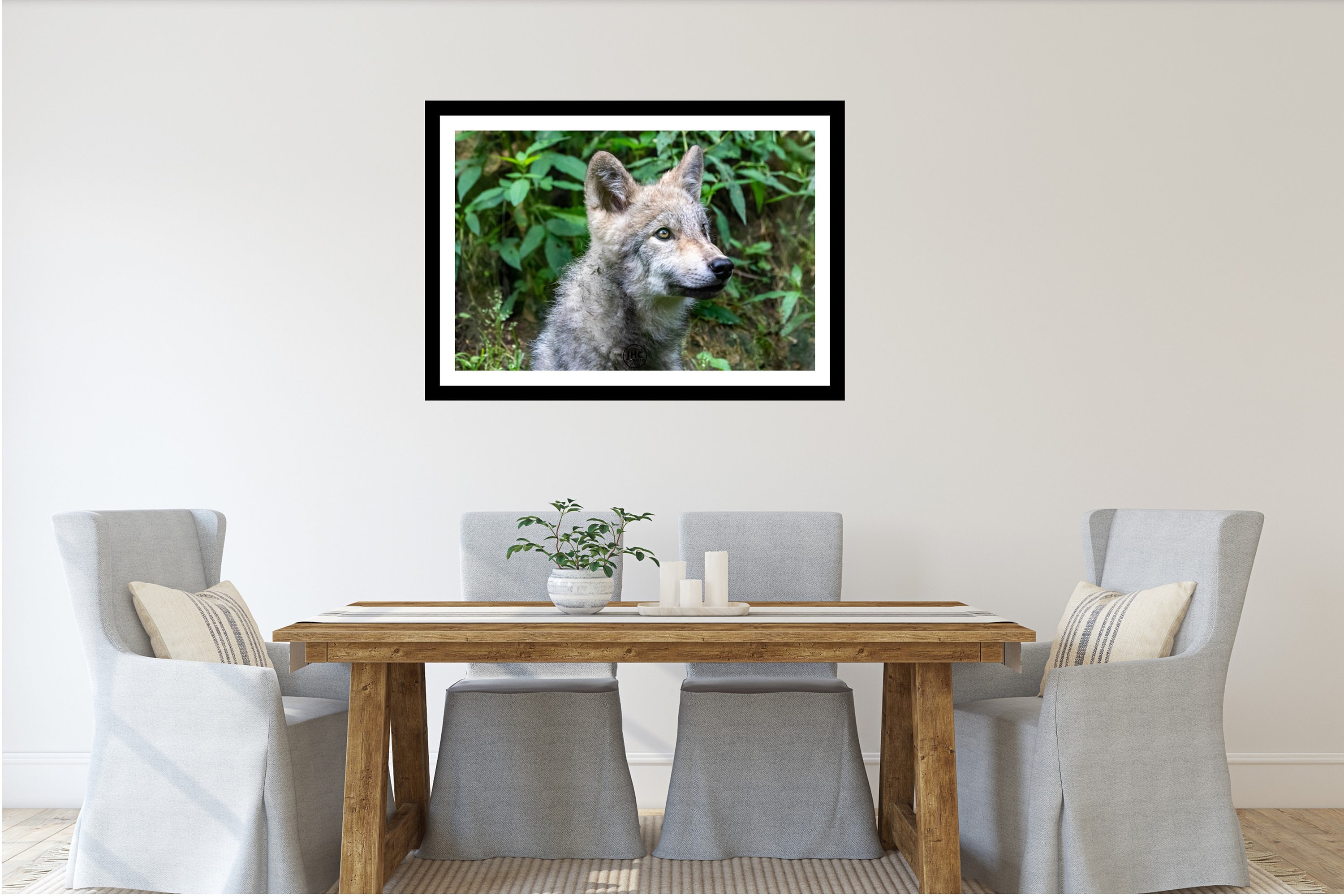 Wolf Photography, Wolf Pup, Large Wall Print, Wolf Print, Nature ...