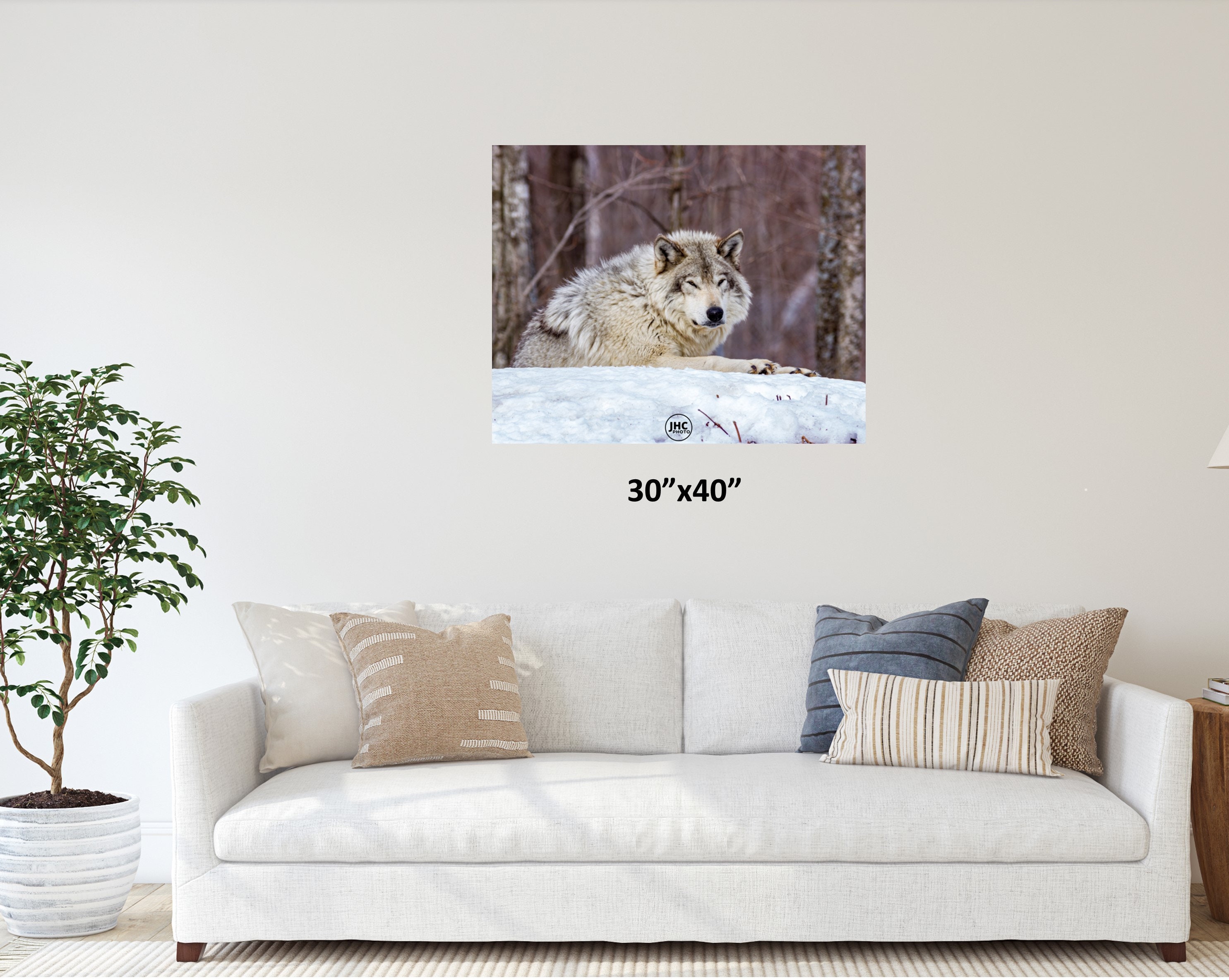 Grey Wolf Pup Wall Art Canvas, Wolf Wall Decor, Nature Lover, Wolf ...