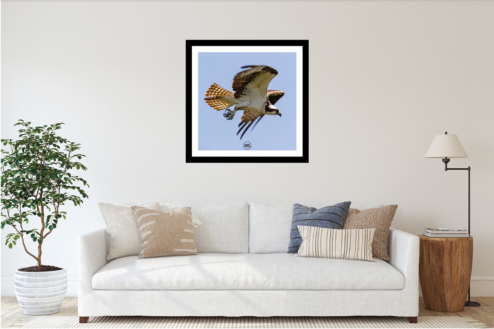 Osprey, Osprey Art, Osprey Print, Bird Photography, Osprey Gift, Osprey ...