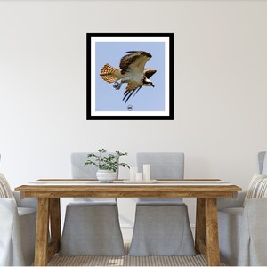 Osprey, Osprey Art, Osprey Print, Bird Photography, Osprey Gift, Osprey ...