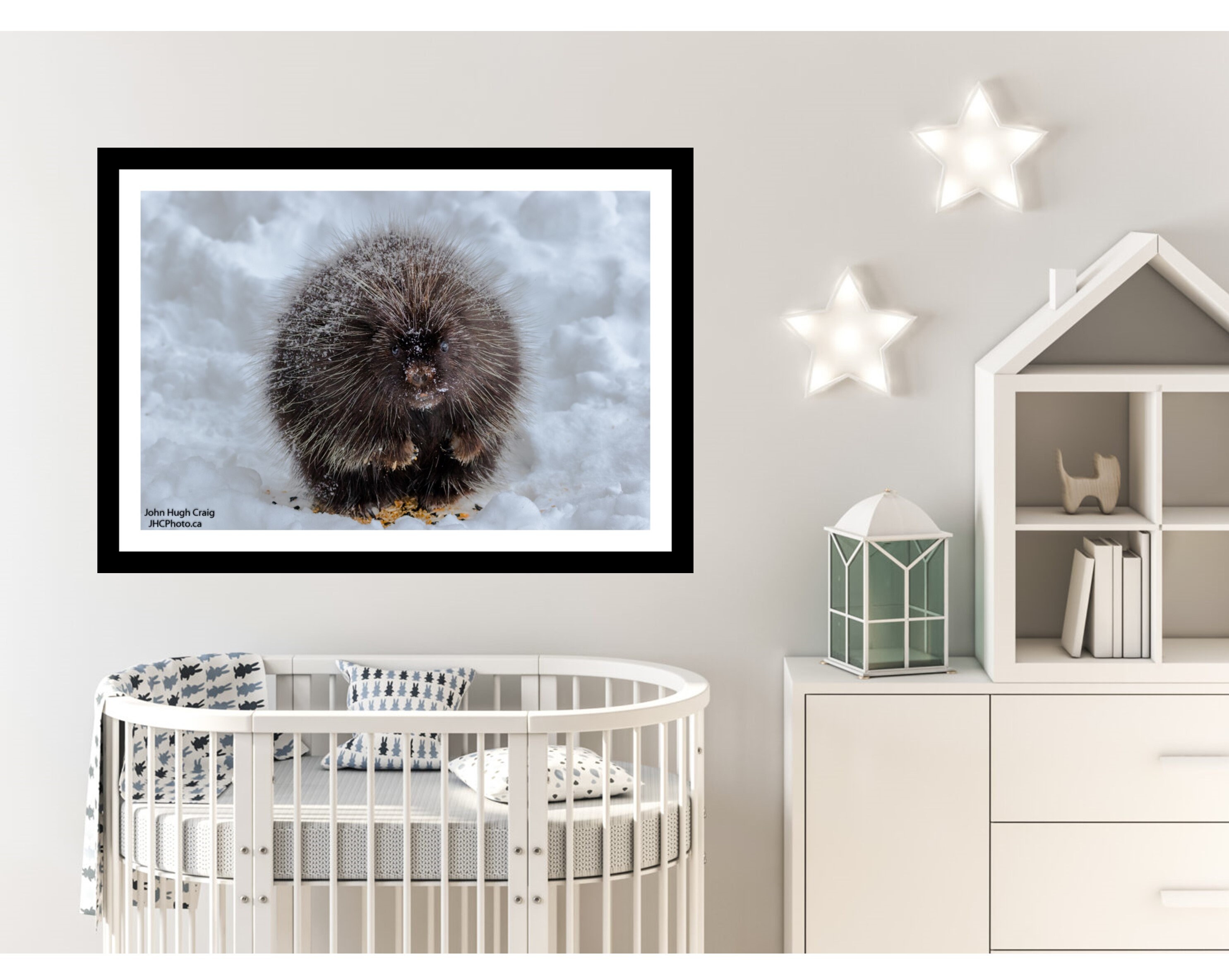 Cute Porcupine Print, Porcupine Art, Wall Art, Porcupine Decor ...