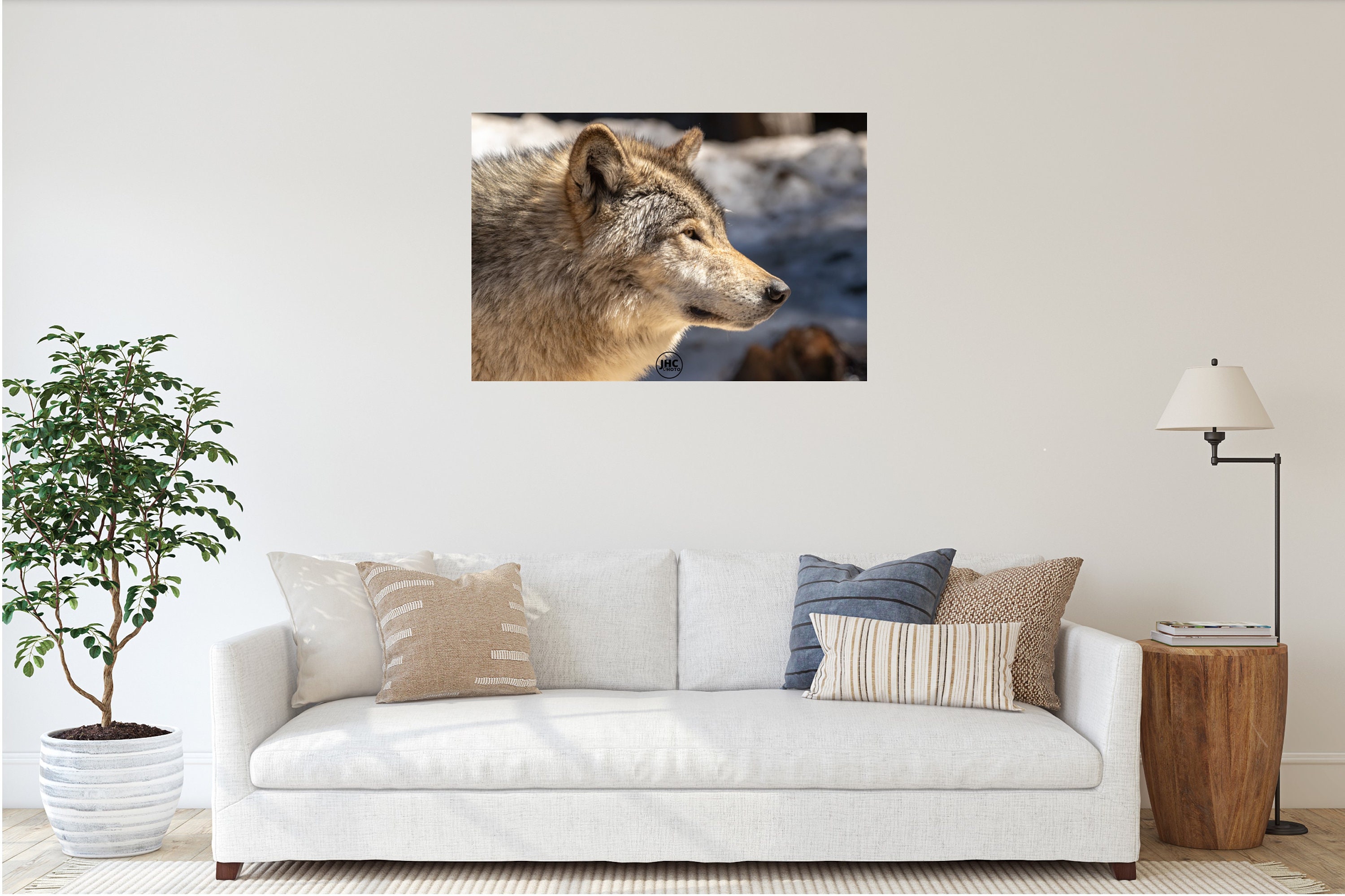 Grey Wolf Wall Art Canvas, Wolf Photography, Wolf Gift, Grey Wolf, Wolf ...