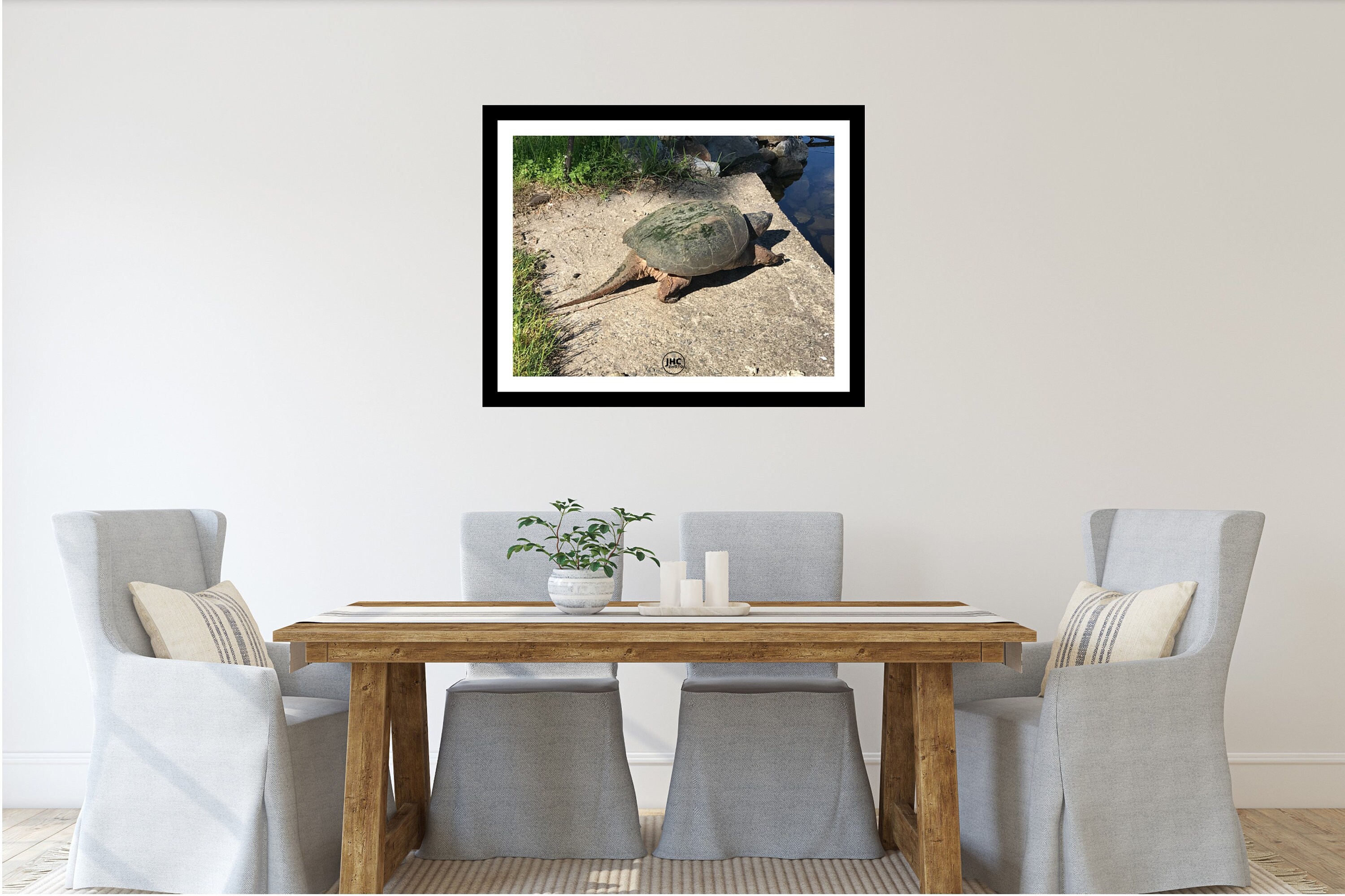 Snapping Turtle Print, Turtle, Turtle Gifts, Turtle Print, Turtle Photo ...