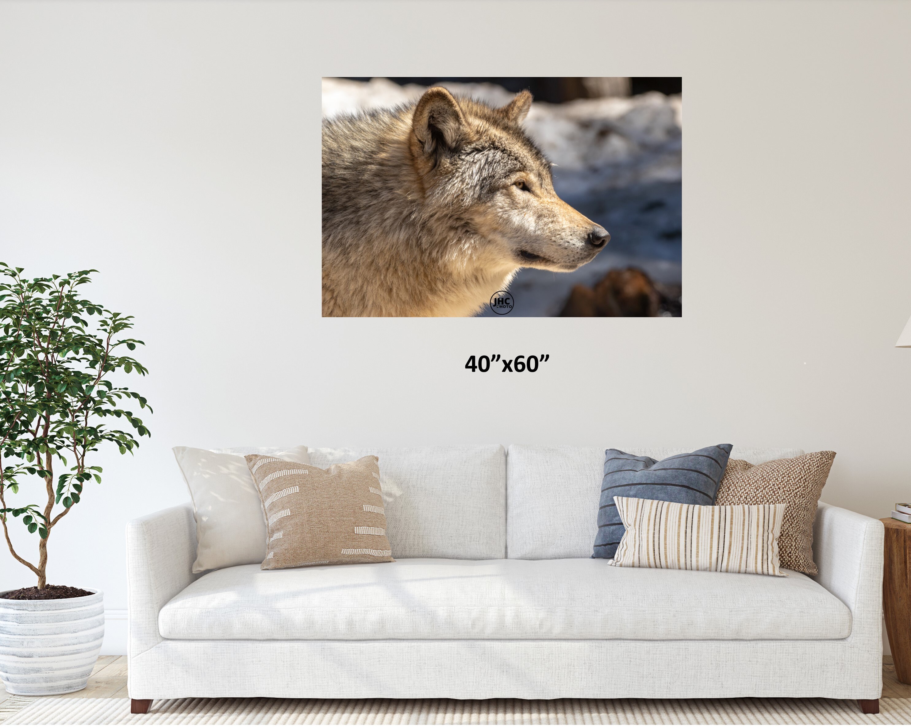 Grey Wolf Wall Art Canvas, Wolf Photography, Wolf Gift, Grey Wolf, Wolf ...