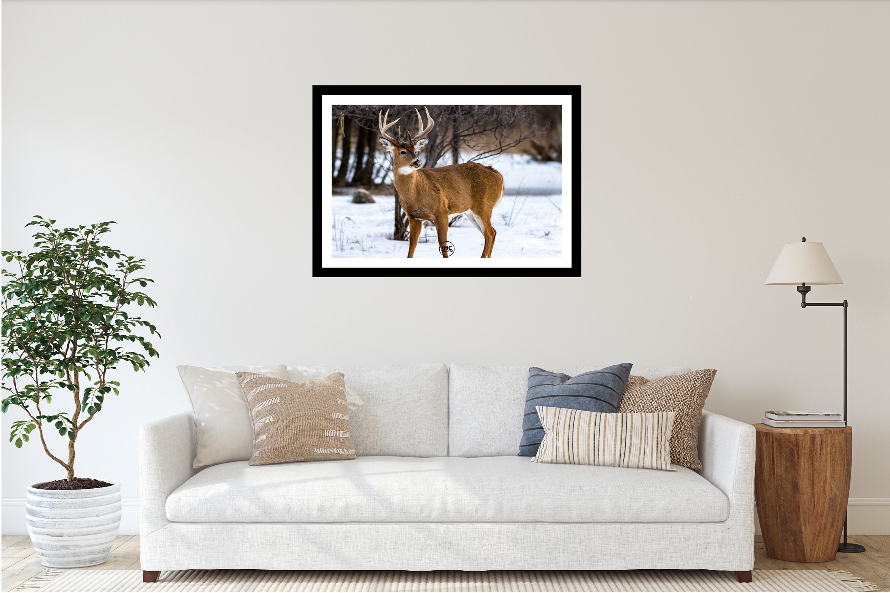Buck Deer Print, Deer Wall Art, Stag Deer Print, Whitetail, Deer, Deer ...