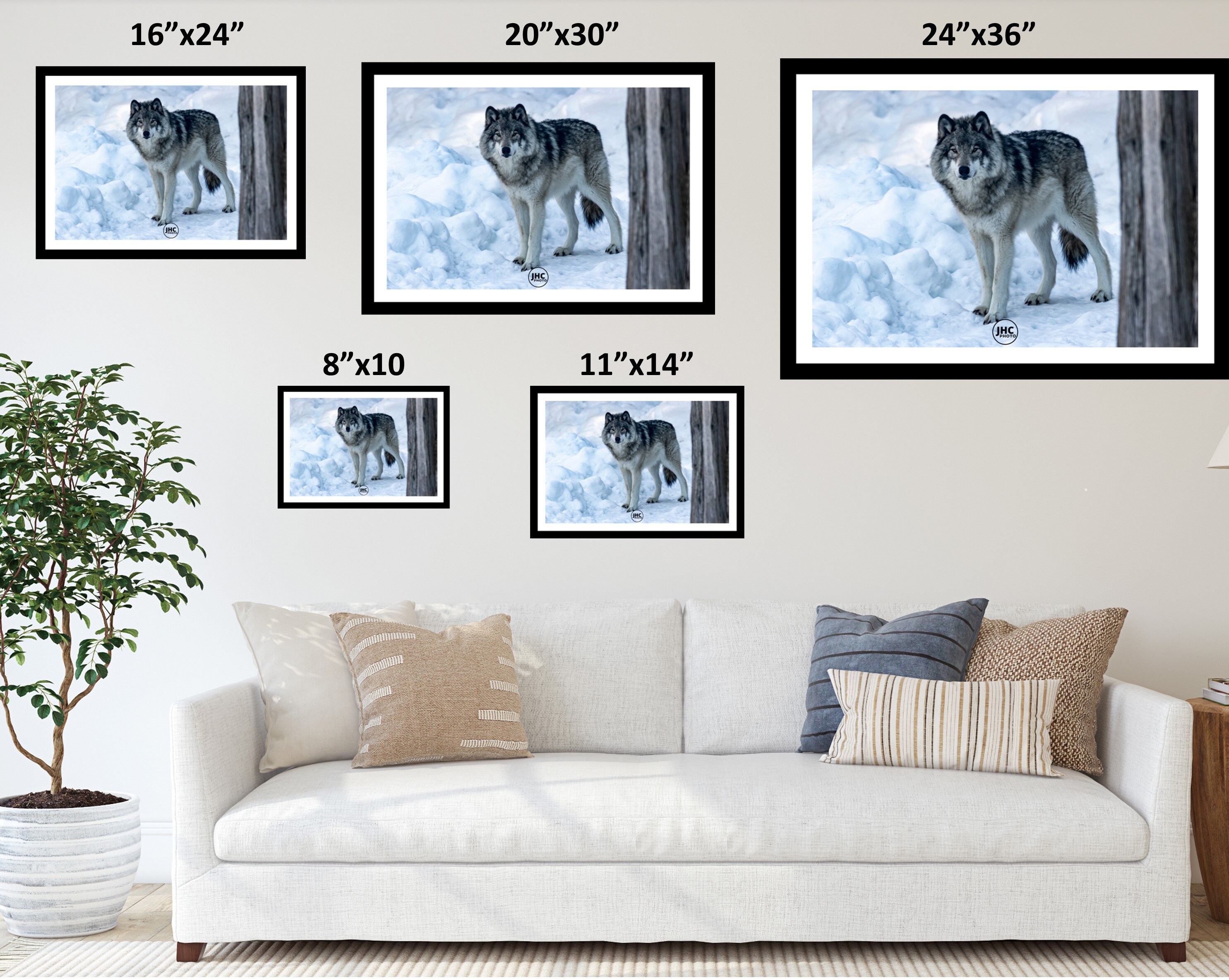 Grey Wolf Wall Art Print, Wolf Photo Print, Wolf Love, Nature ...