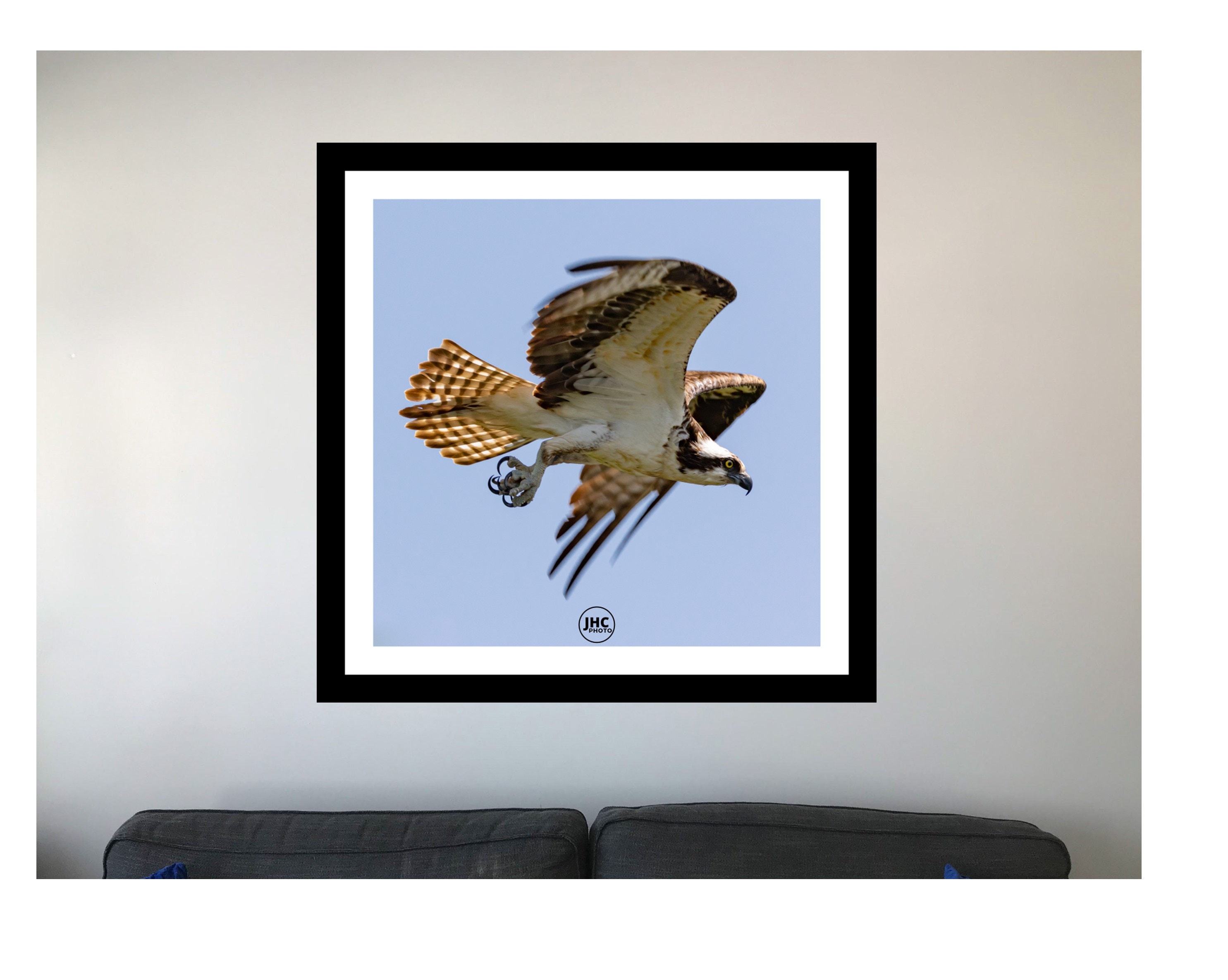 Osprey, Osprey Art, Osprey Print, Bird Photography, Osprey Gift, Osprey ...